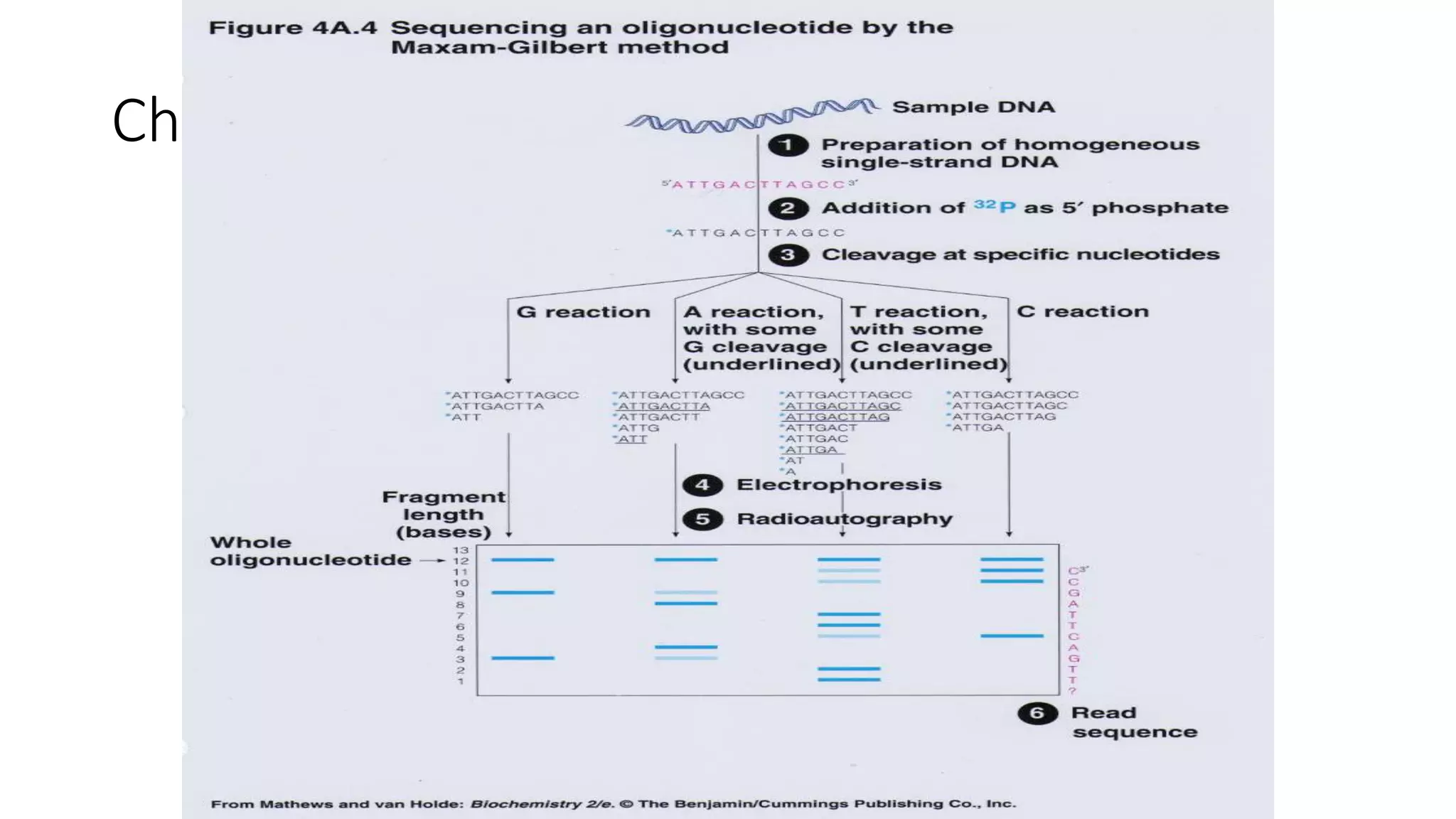 Dna sequencing techniques | PPTX