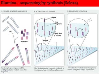 Dna sequening | PPTX