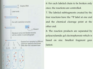 Dna sequening | PPTX