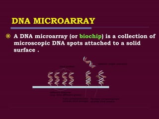 DNA sequencing by kk sahu sir | PPT