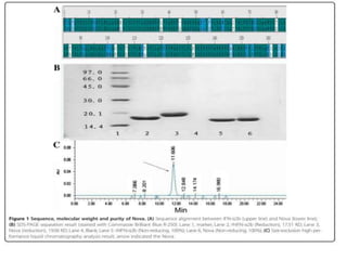 Dna shuffling | PPTX
