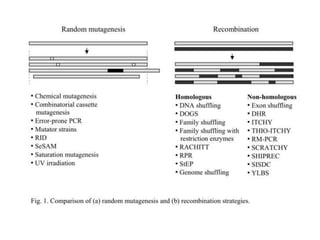 Dna shuffling | PPTX