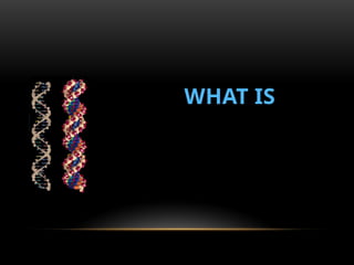 DNA_SLIDE ppt in detail with diagrams | PPTX