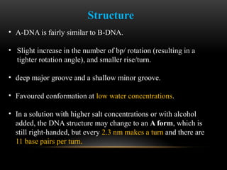 DNA_SLIDE ppt in detail with diagrams | PPTX
