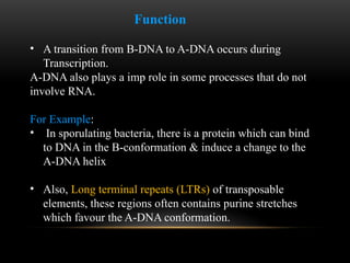 DNA_SLIDE ppt in detail with diagrams | PPTX