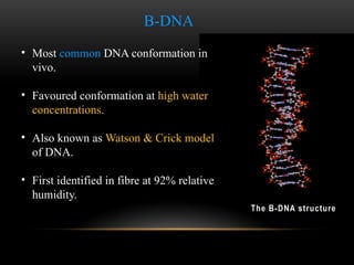 DNA_SLIDE ppt in detail with diagrams | PPTX