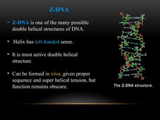 DNA_SLIDE ppt in detail with diagrams | PPTX