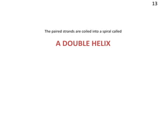 Dna slides | PDF