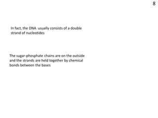 Dna slides | PDF