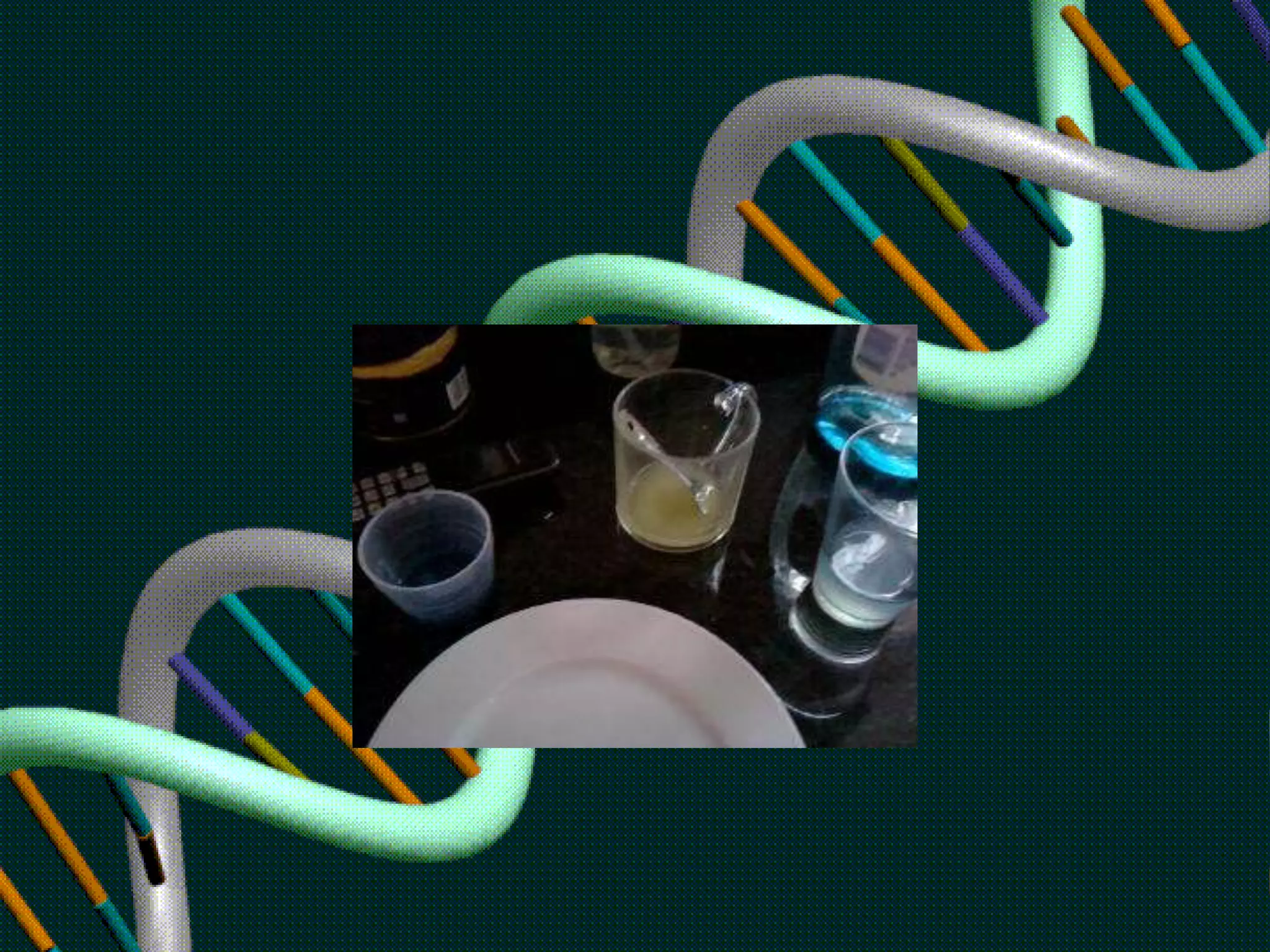 Dna Slideshow | PPTX