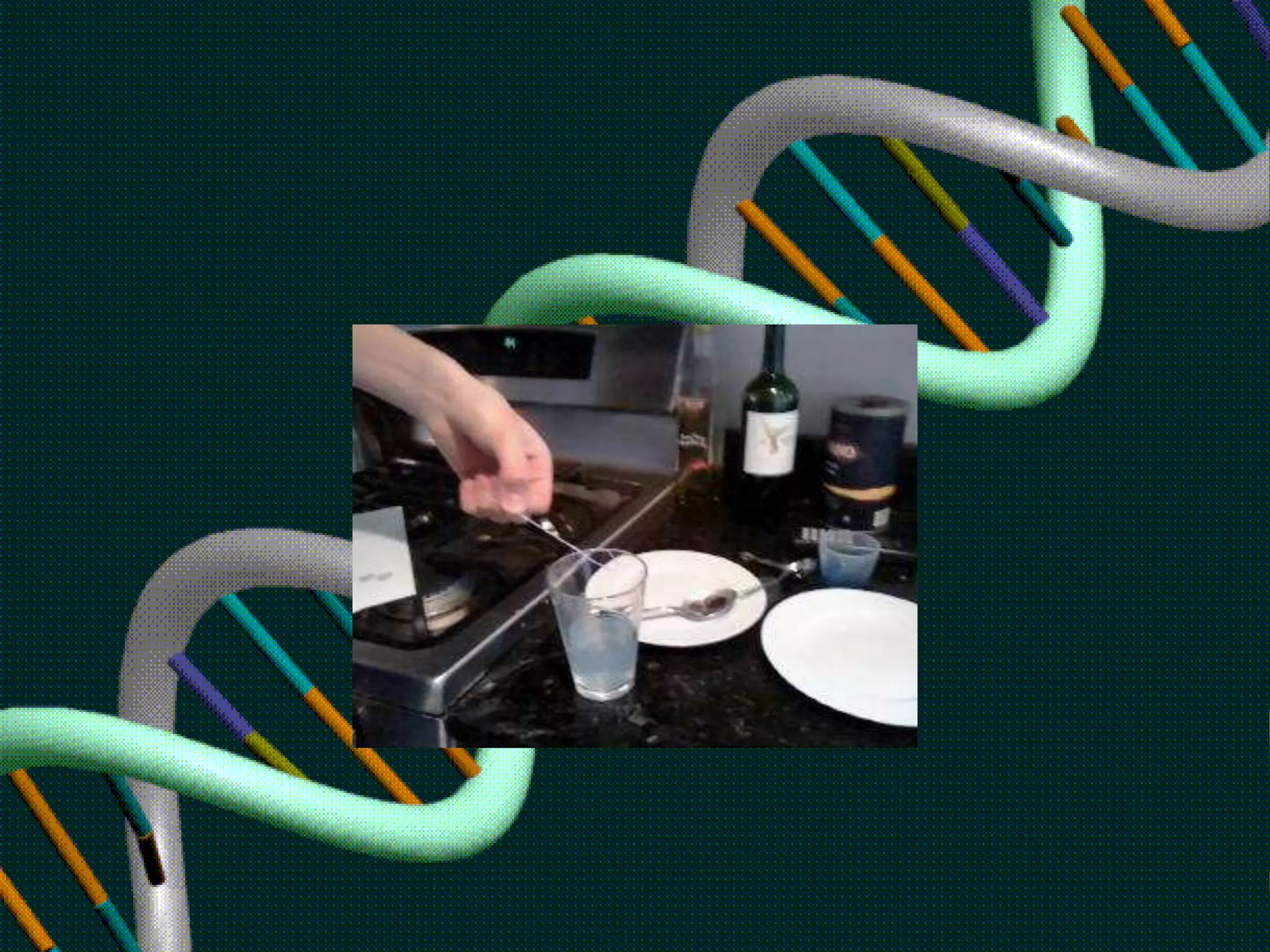 Dna Slideshow | PPTX