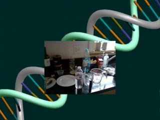 Dna Slideshow | PPTX