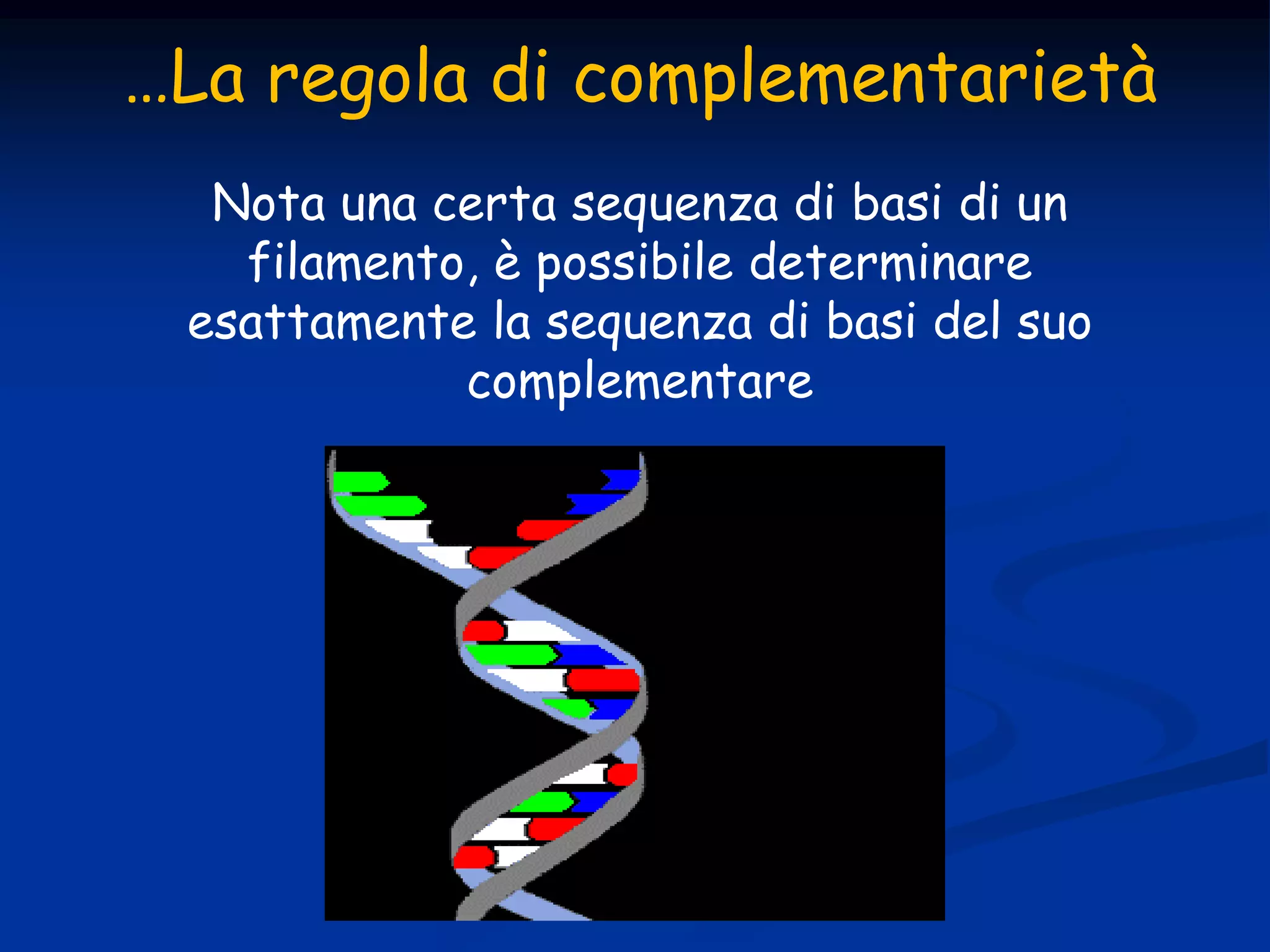 Il DNA: struttura, funzione e replicazione | PPTX