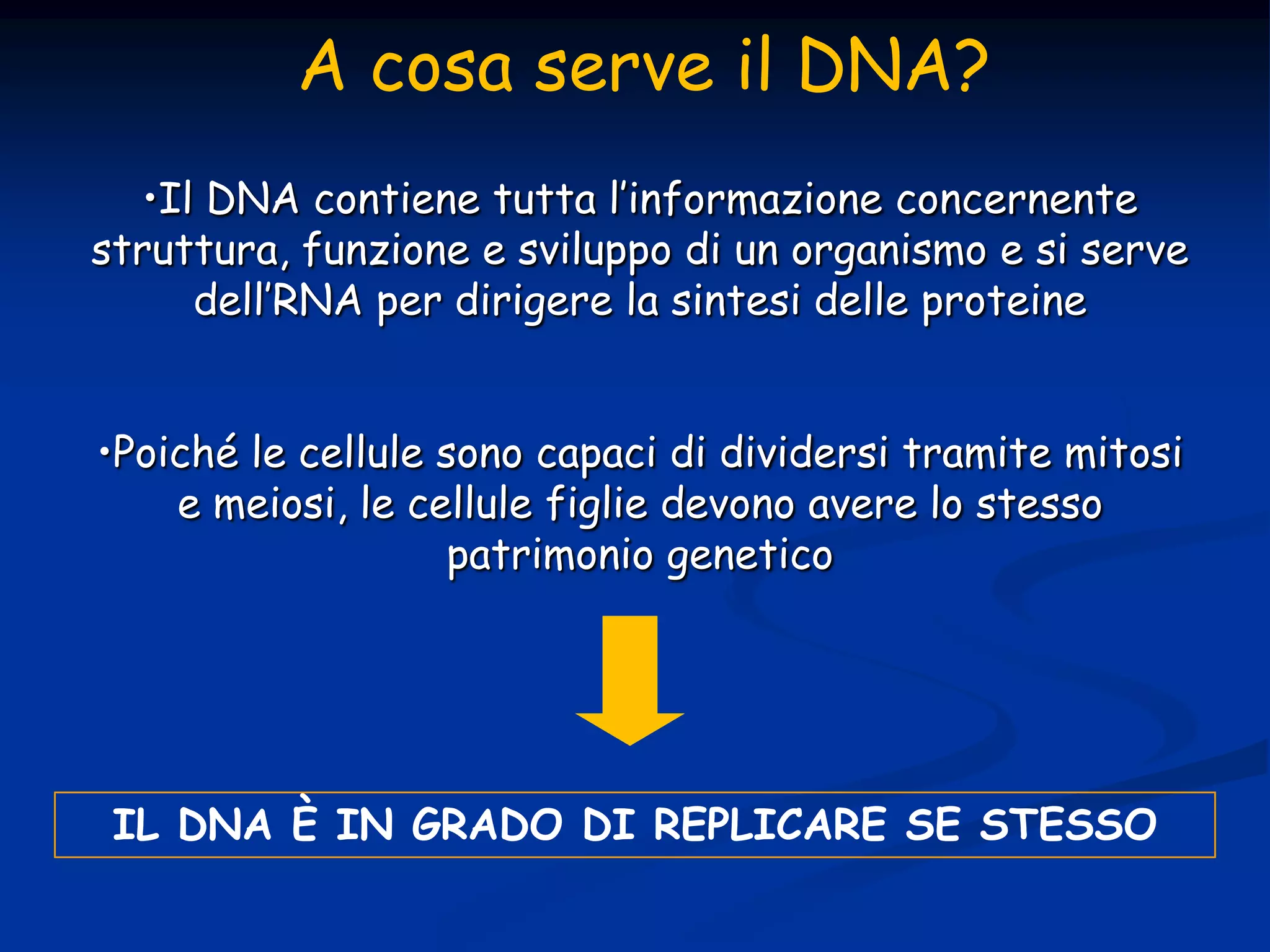 Il DNA: struttura, funzione e replicazione | PPTX