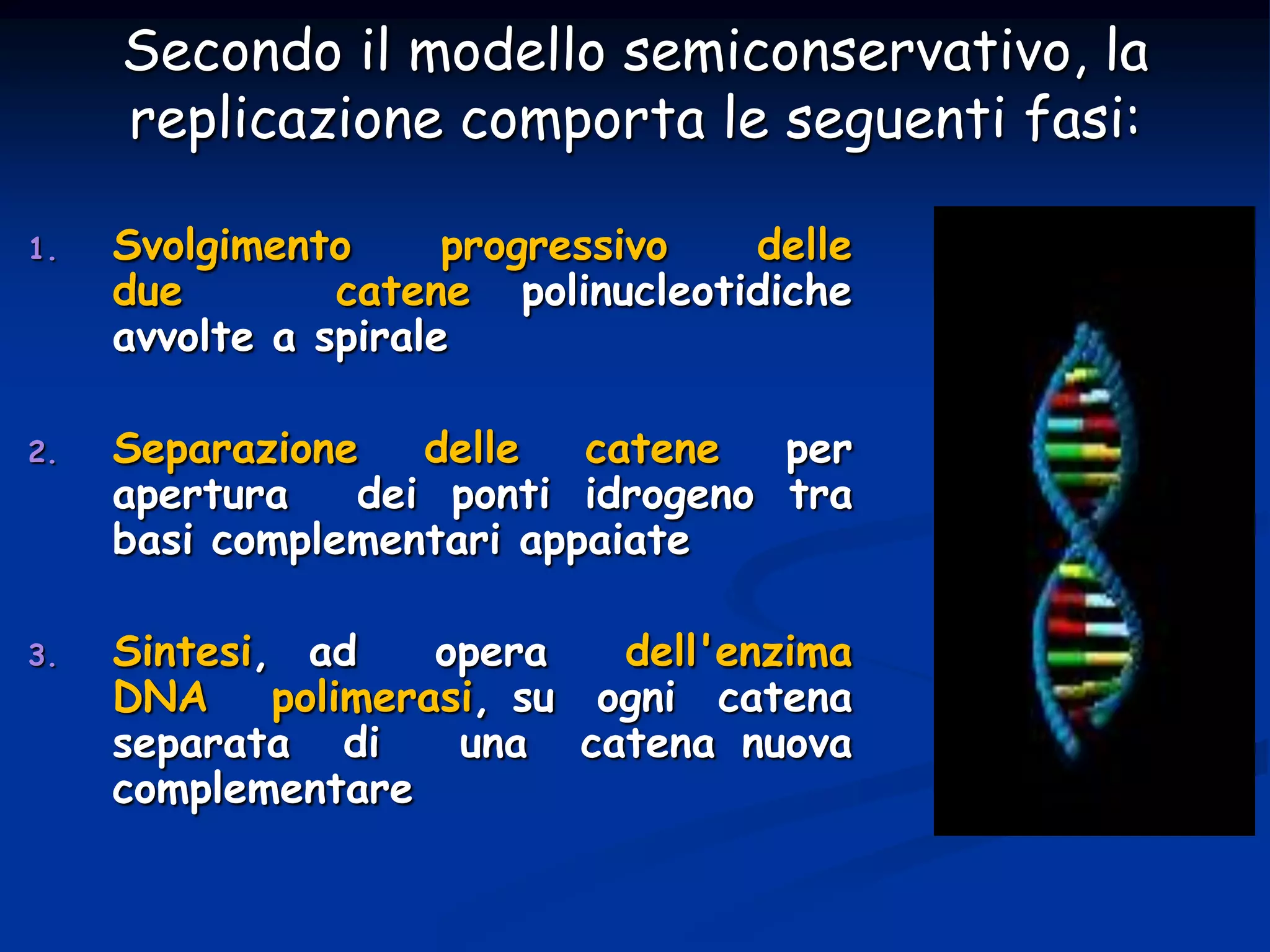 Il DNA: struttura, funzione e replicazione | PPTX