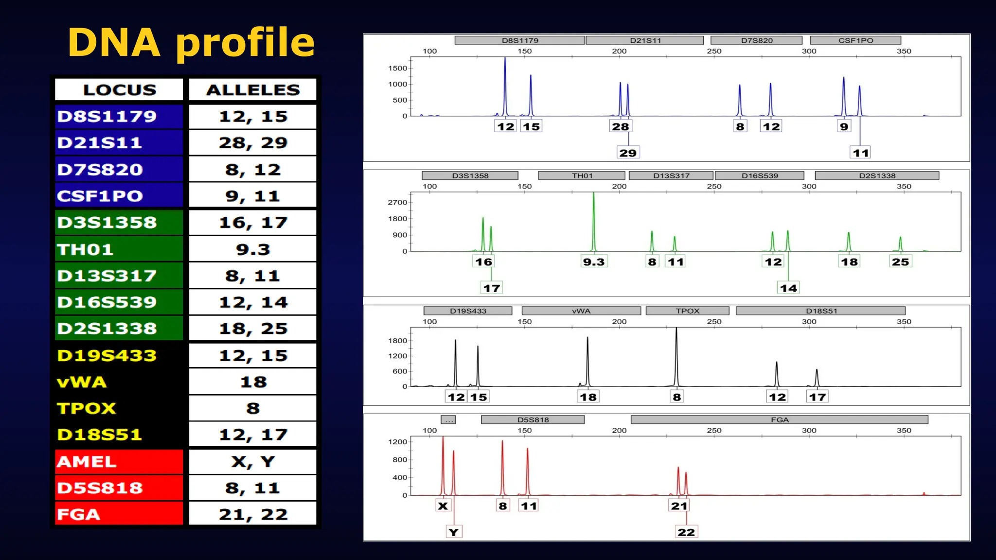 DNAstatistics LECTURE dna qPCR LESSONS.ppt