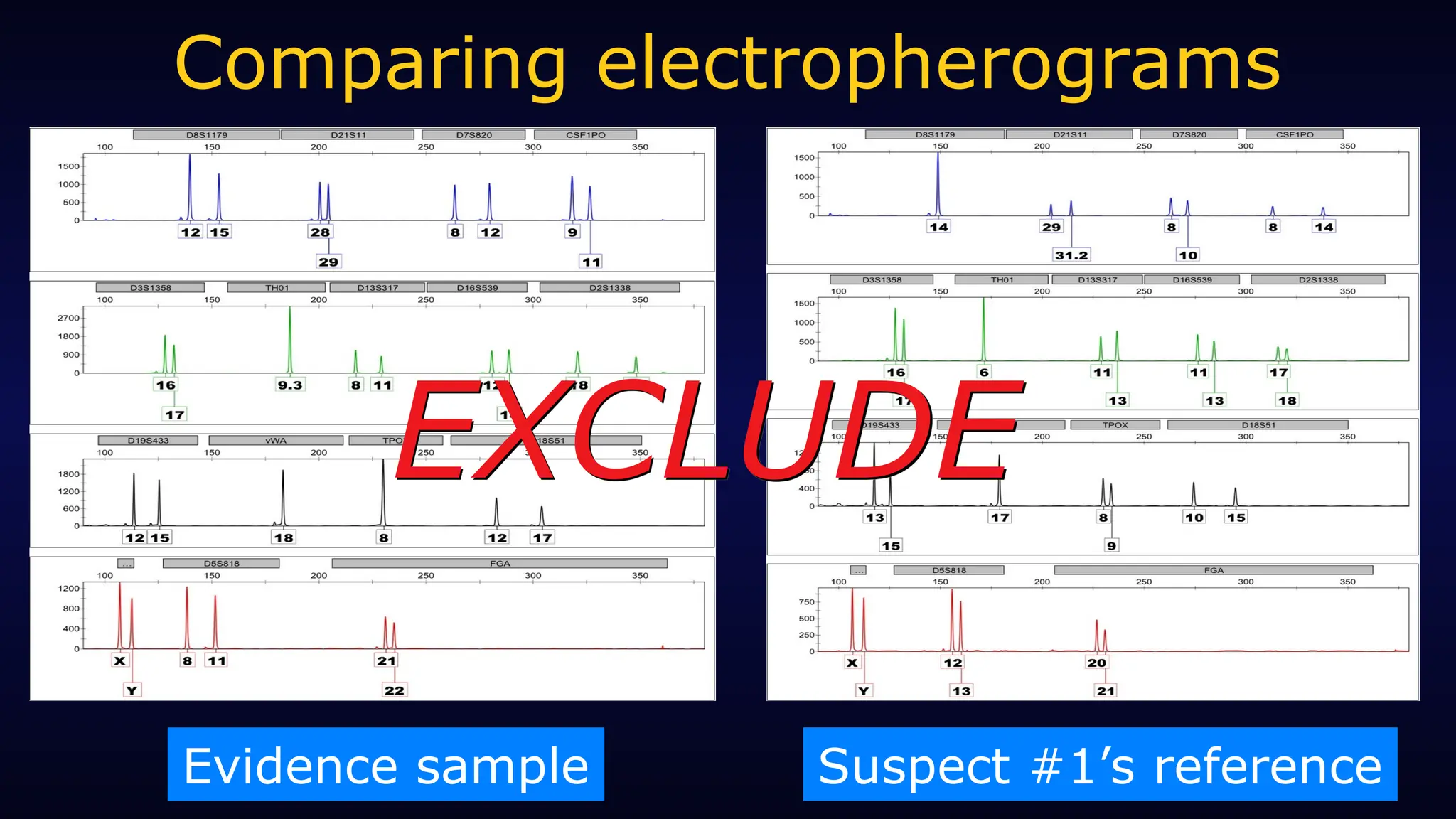 DNAstatistics LECTURE dna qPCR LESSONS.ppt