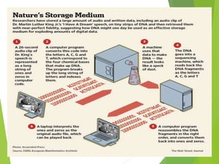 Dna storage | PPTX