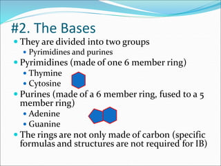 dnastructure-100505183000-phpapp02.presenatation | PPT