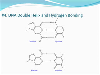 DNA Structure PowerPoint | PPT