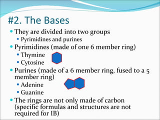 Dna Structure Animation Ppt
