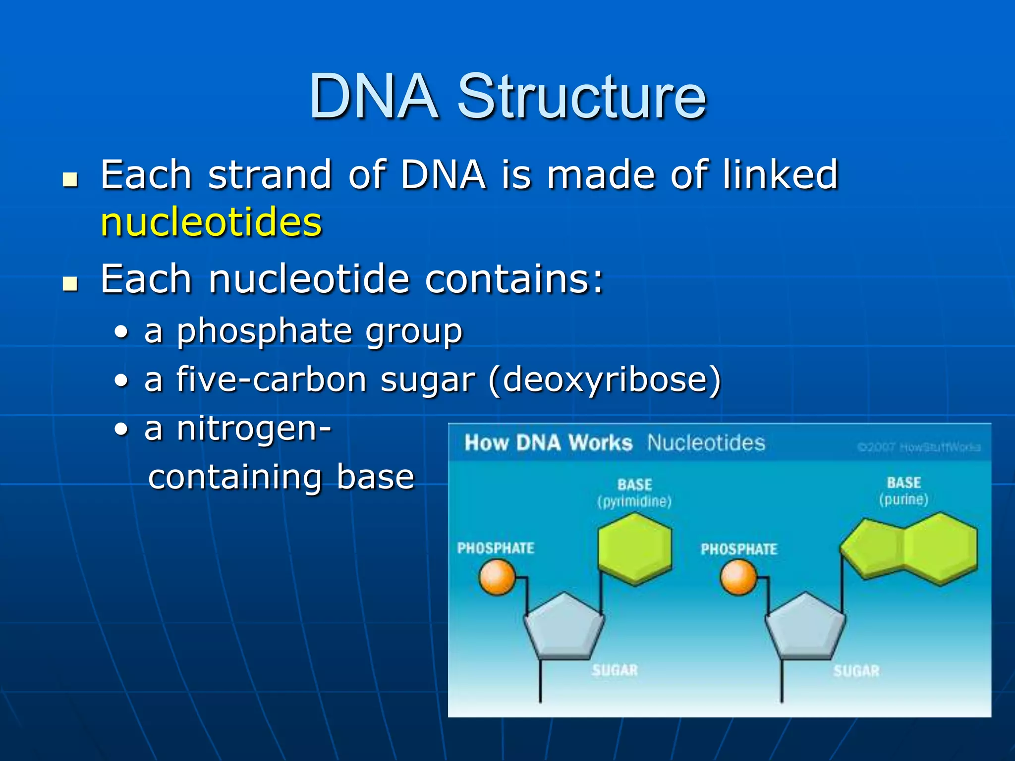 DNA structure | PPTX | Chemistry | Science