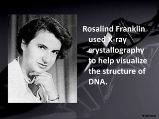 DNA Structure and Function (Diamsay, Mendoza)) | PPTX