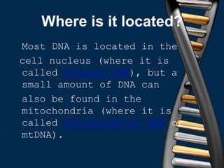 DNA Structure and Function (Diamsay, Mendoza)) | PPTX