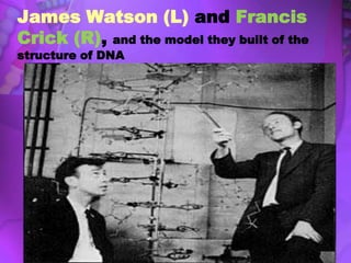 Dna structure | PPTX
