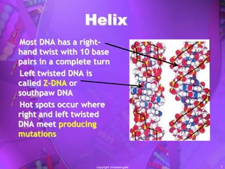 Dna structure | PPT