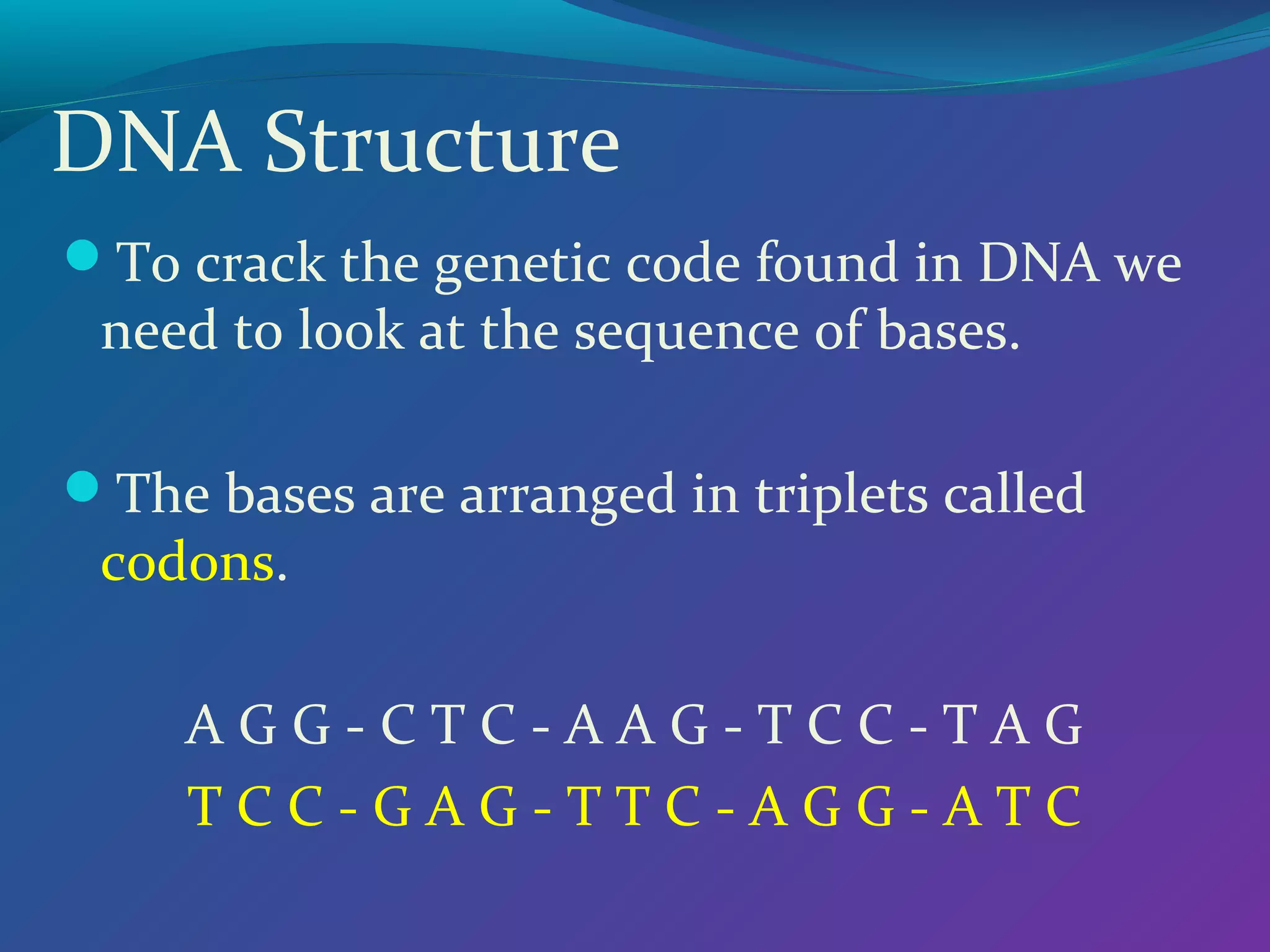 Dna structure | PPT