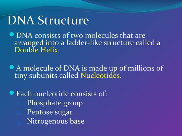 Dna structure | PPT