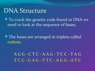 Dna structure | PPT