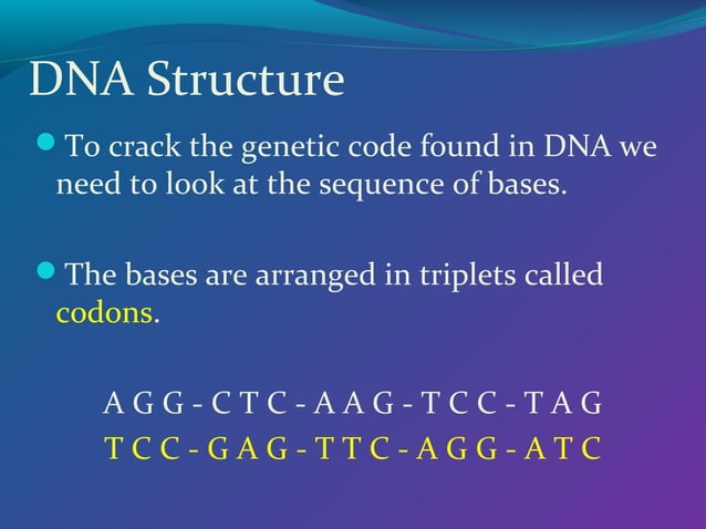 Dna structure | PPT