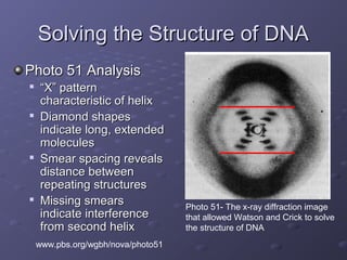 Dna structure | PPT