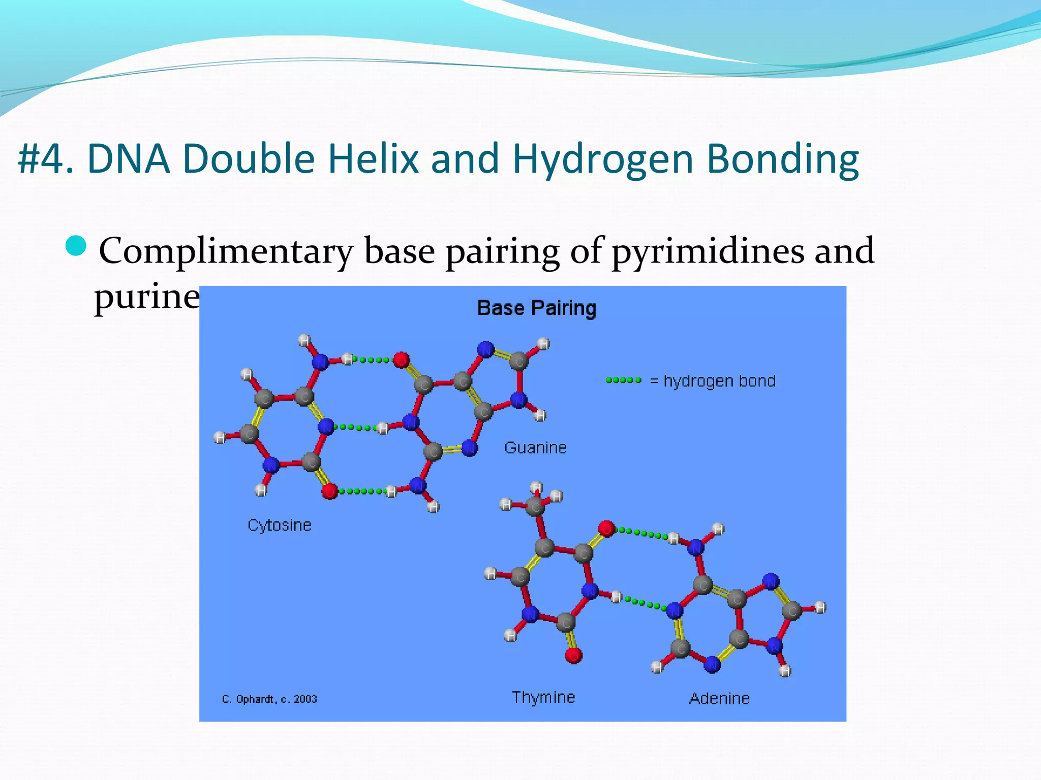 Structure of DNA | PPT