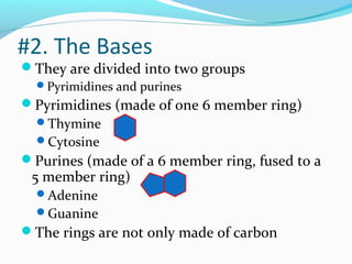 Structure of DNA | PPT