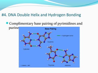 Structure of DNA | PPT