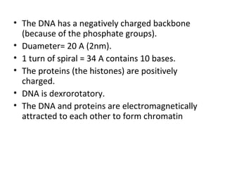 Dna structure | PPT