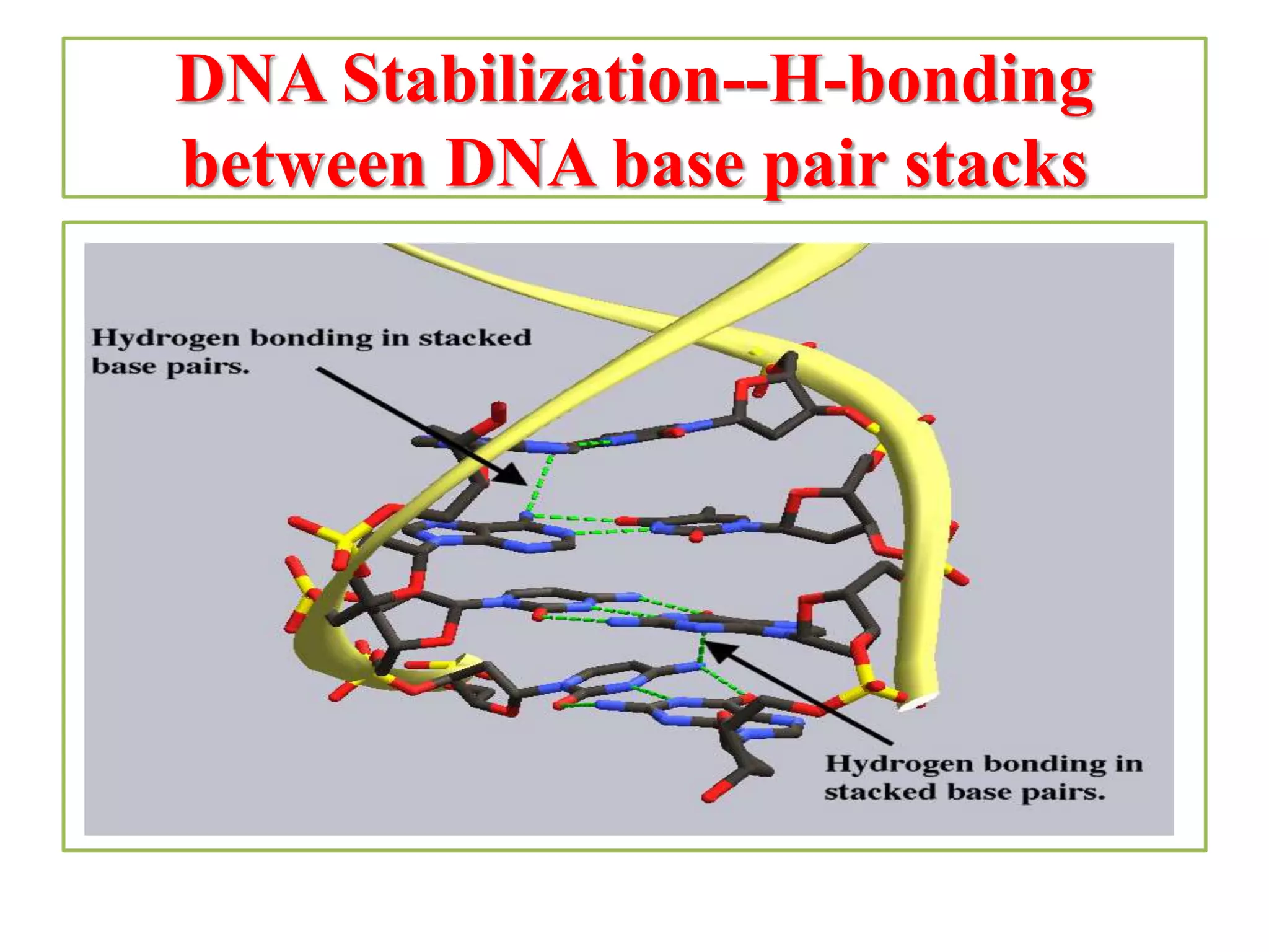 Dna structure | PPTX