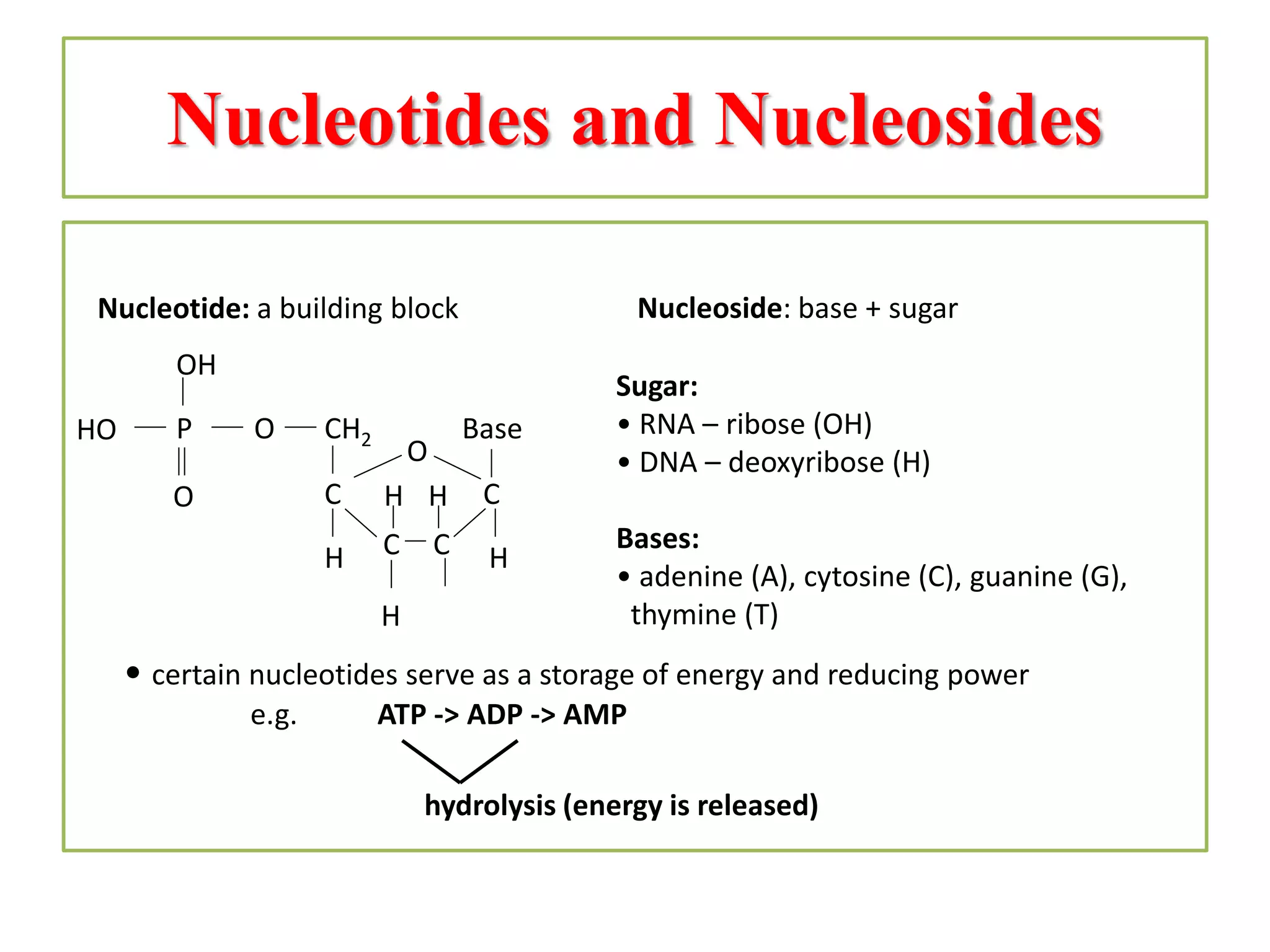 Dna structure | PPTX
