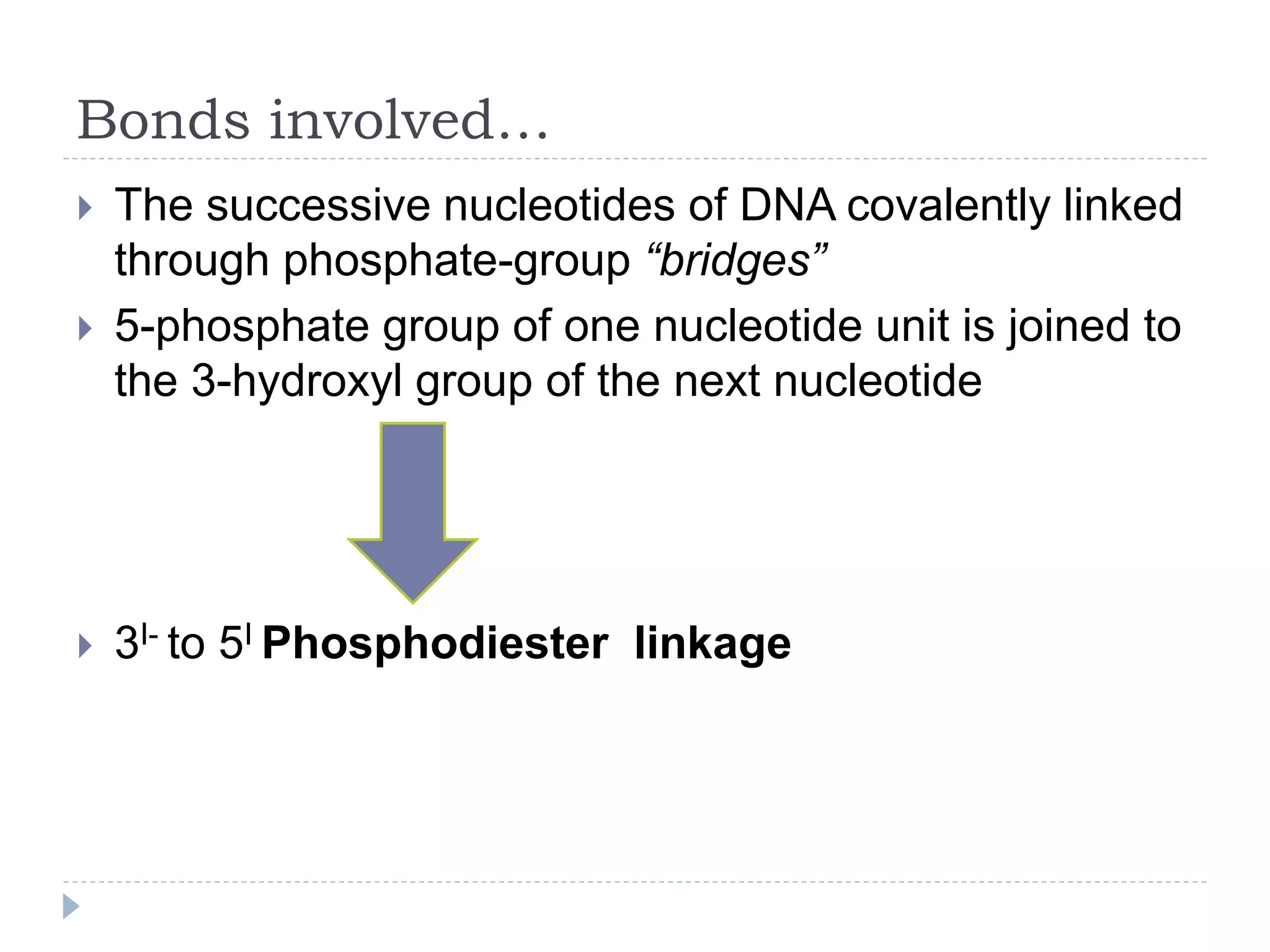 DNA structure, the bonds involved and it seperation | PPTX