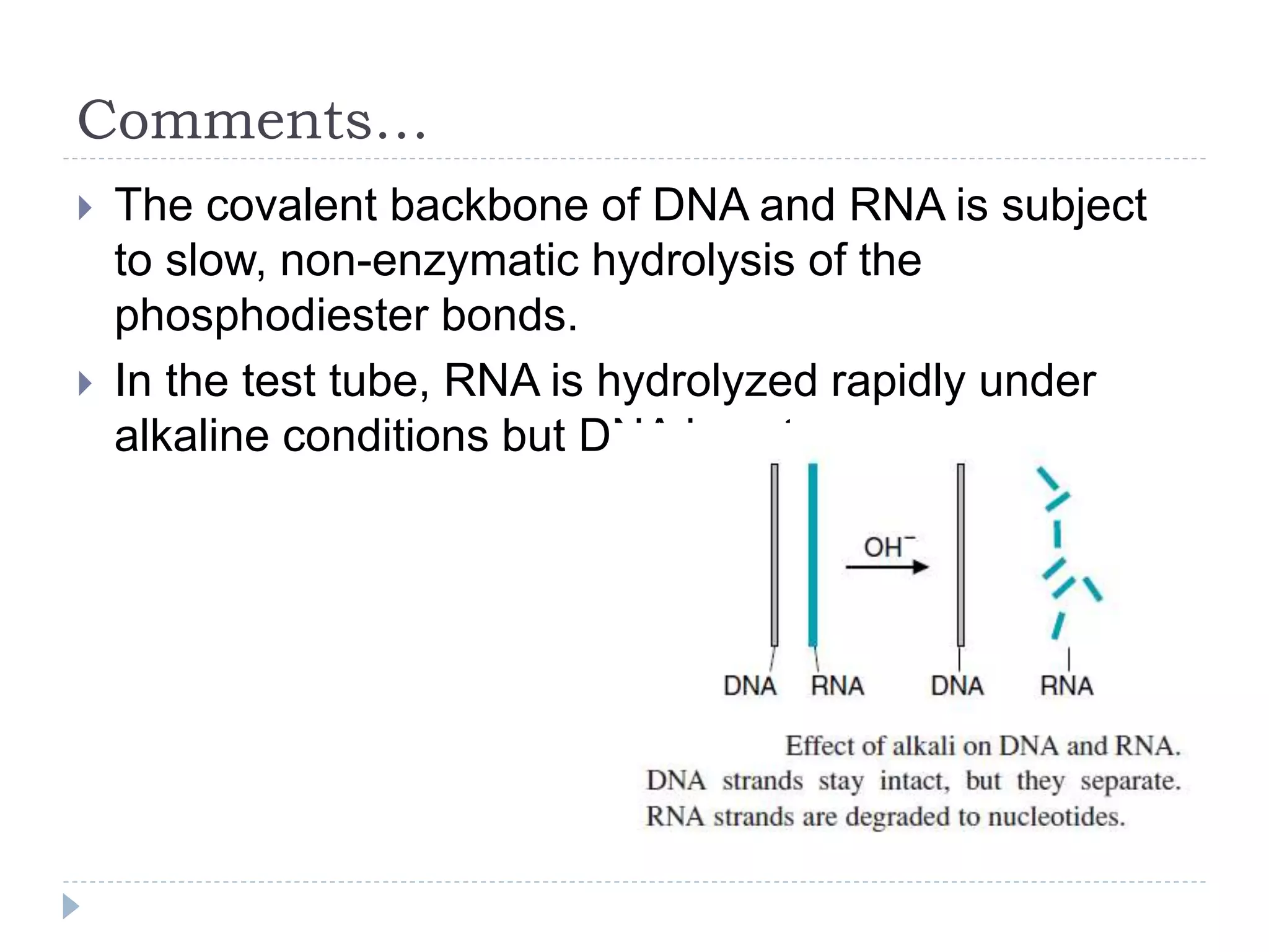 DNA structure, the bonds involved and it seperation | PPTX