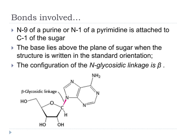 DNA structure, the bonds involved and it seperation | PPTX