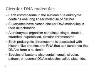 DNA structure, the bonds involved and it seperation | PPTX