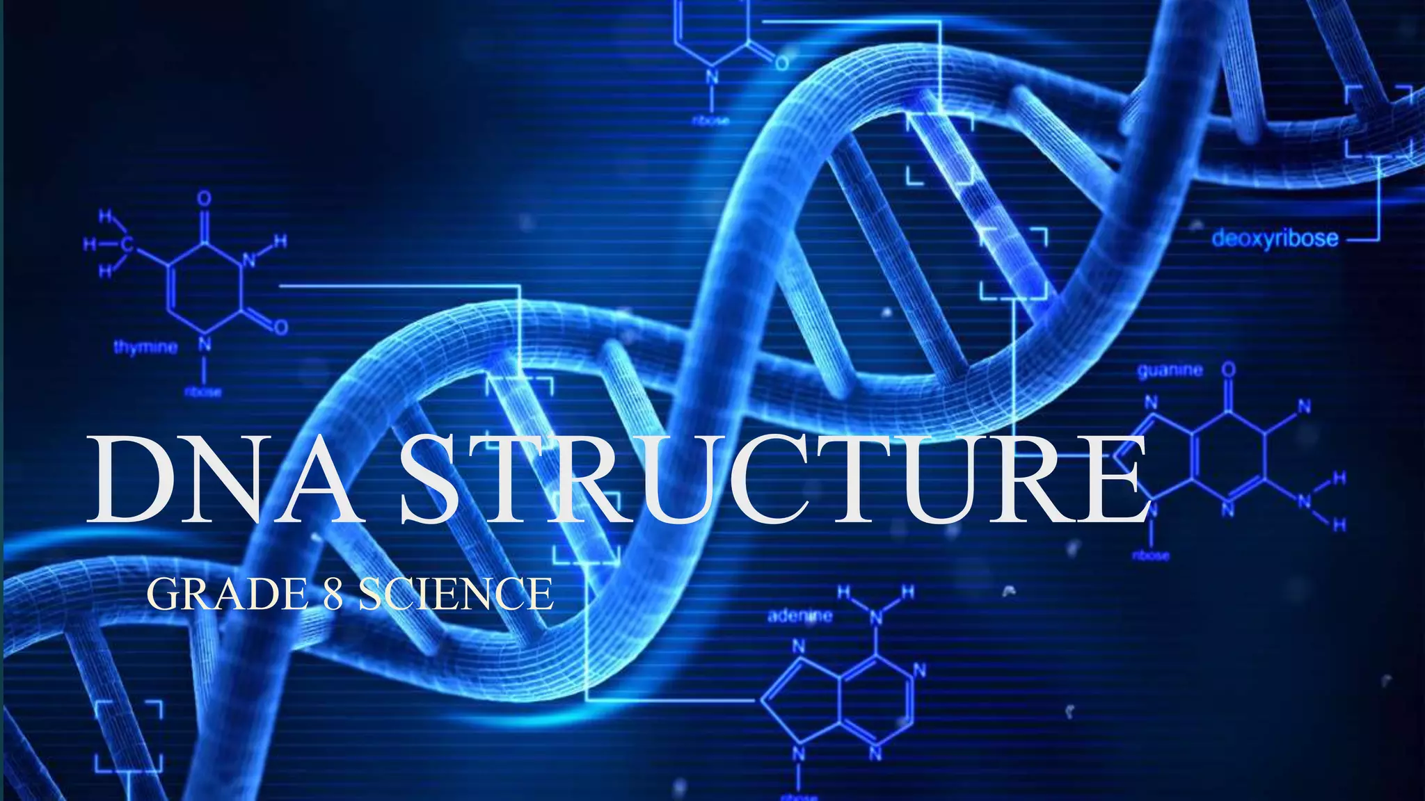 Dna structure | PPTX