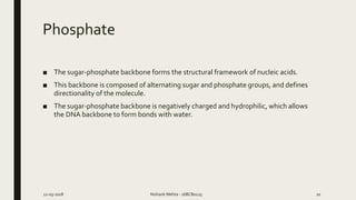 DNA Structure | PPT