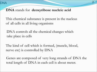 DNA structure | PPT