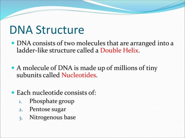 DNA structure | PPT