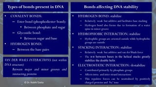 Basics of DNA Structure | PDF